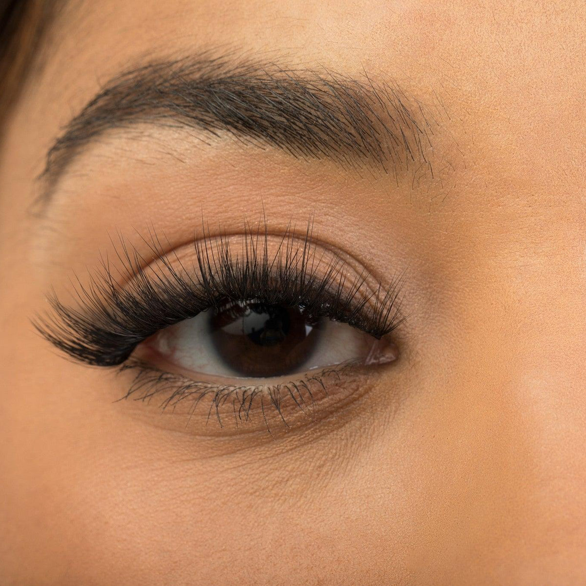 Products – COCOLASH